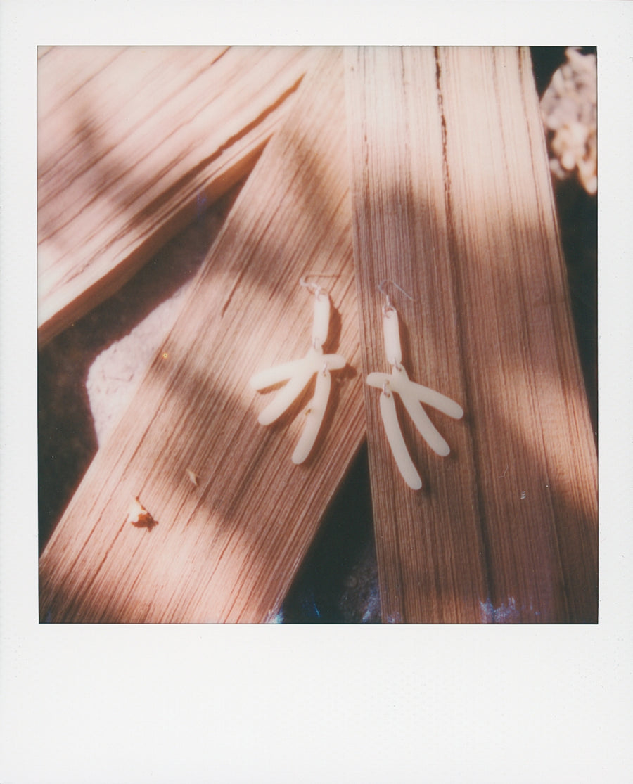 Cedar Bough – Warren Steven Scott